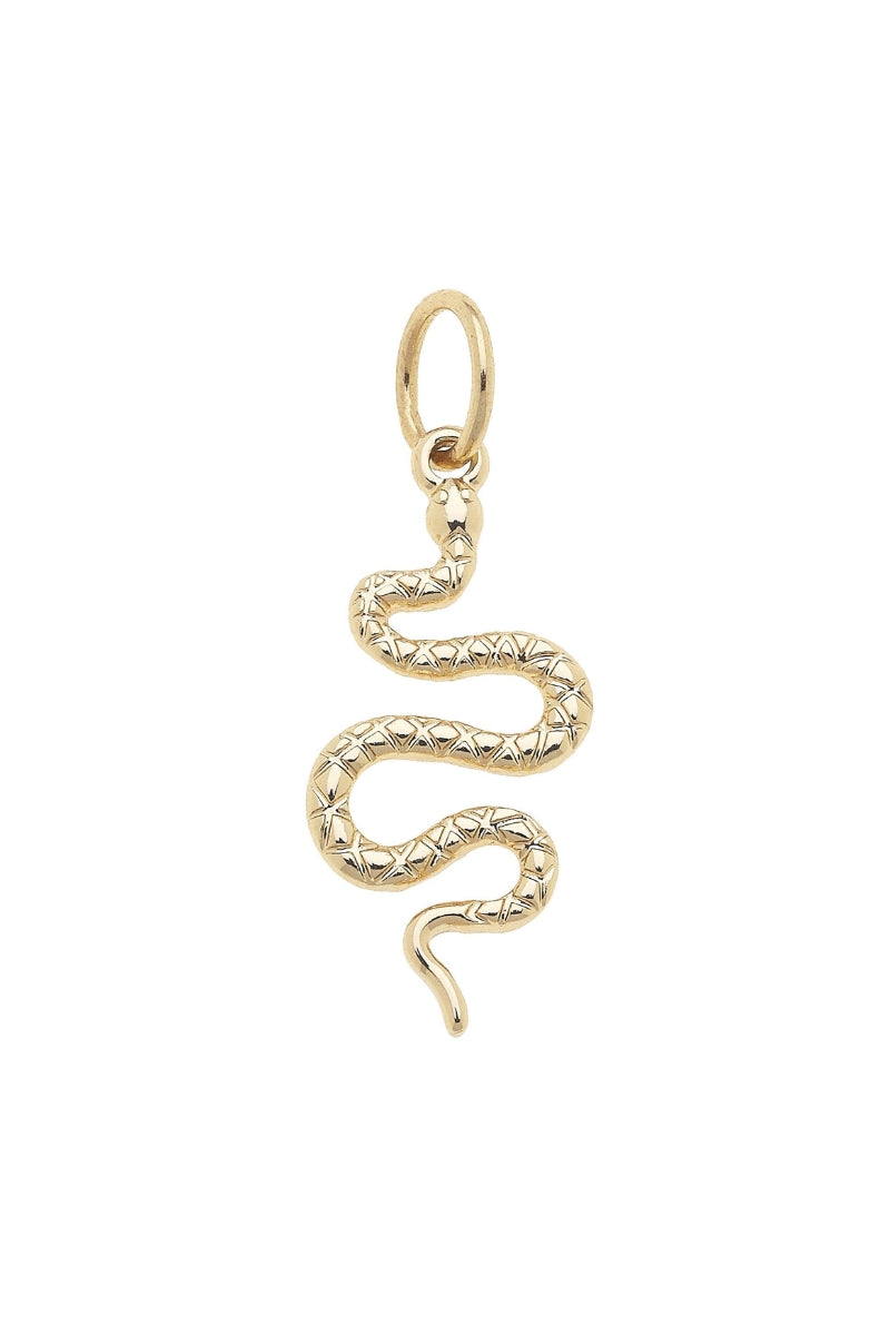 Canvas Style Charms-Serpent – PinkTag