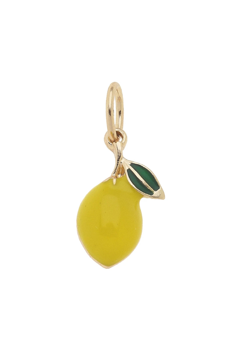 Canvas Style Charms - 3-D Lemon – PinkTag