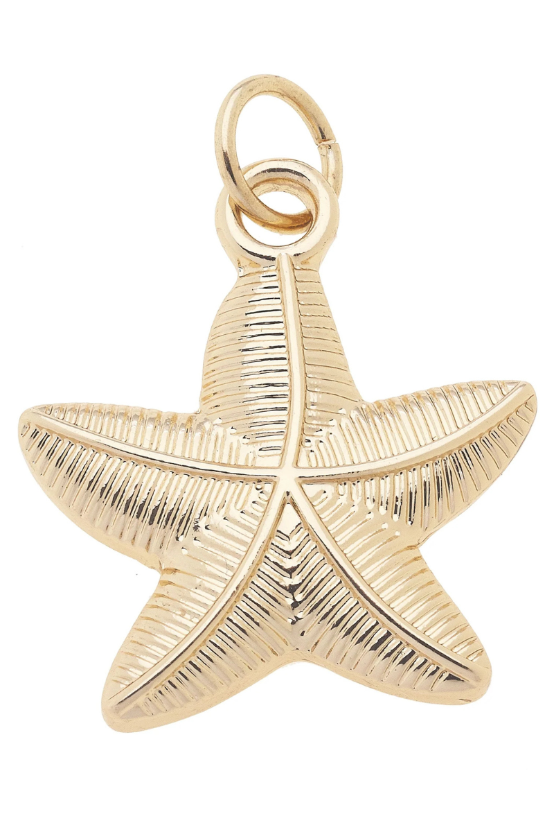 Canvas Style Charms - Starfish – PinkTag